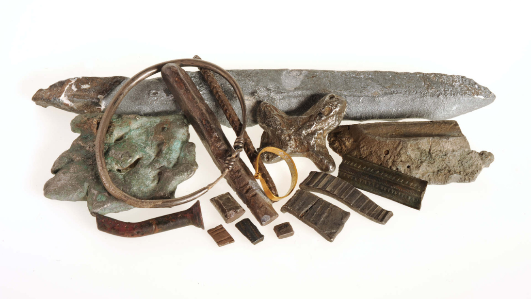 Vikings, Runes and a Polar Bear | Ulster Museum