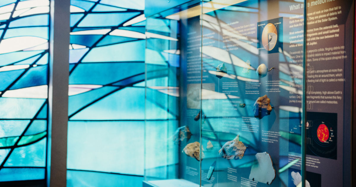 Natural Science | Ulster Museum