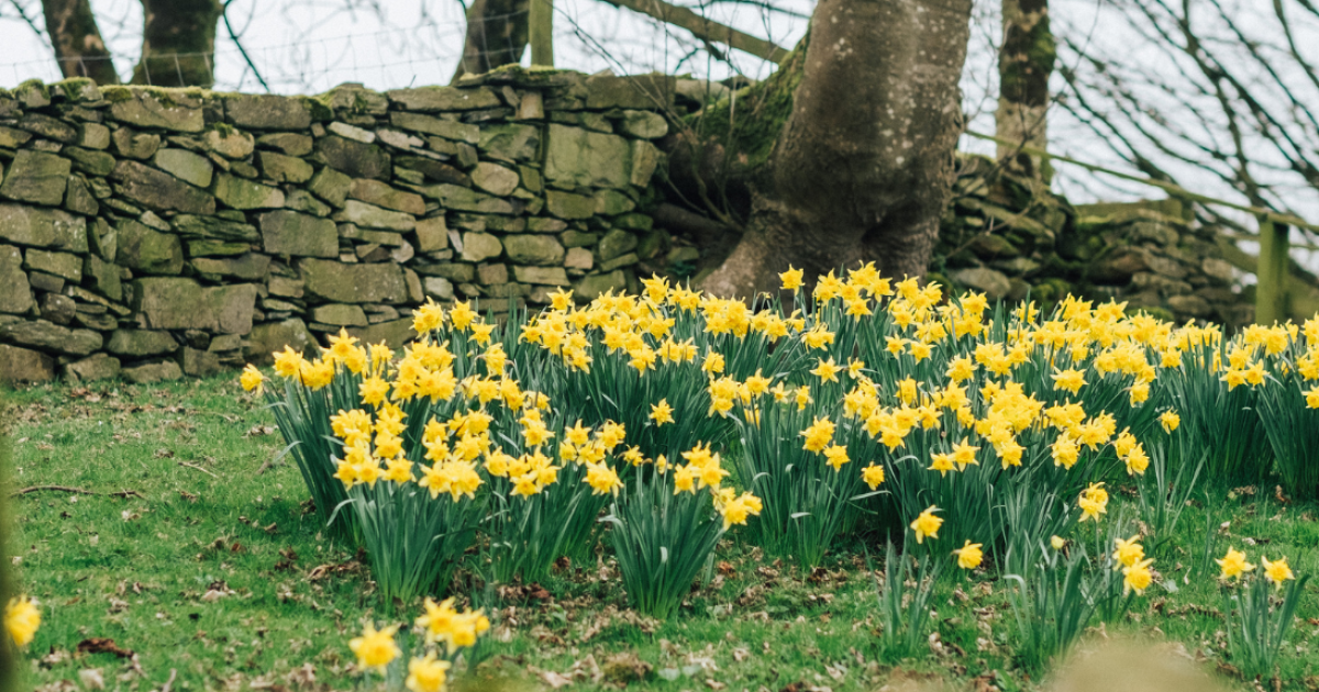 May Day | Ulster American Folk Park