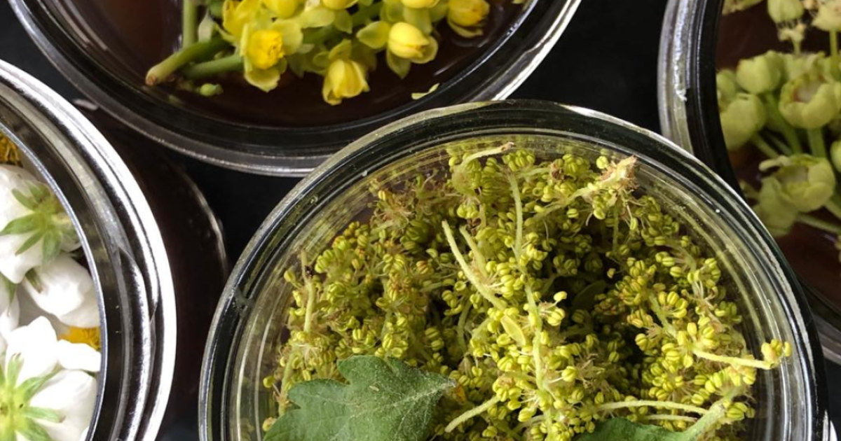 Culture, Identity & the Traditional Art of Fermentation | Ulster Folk ...