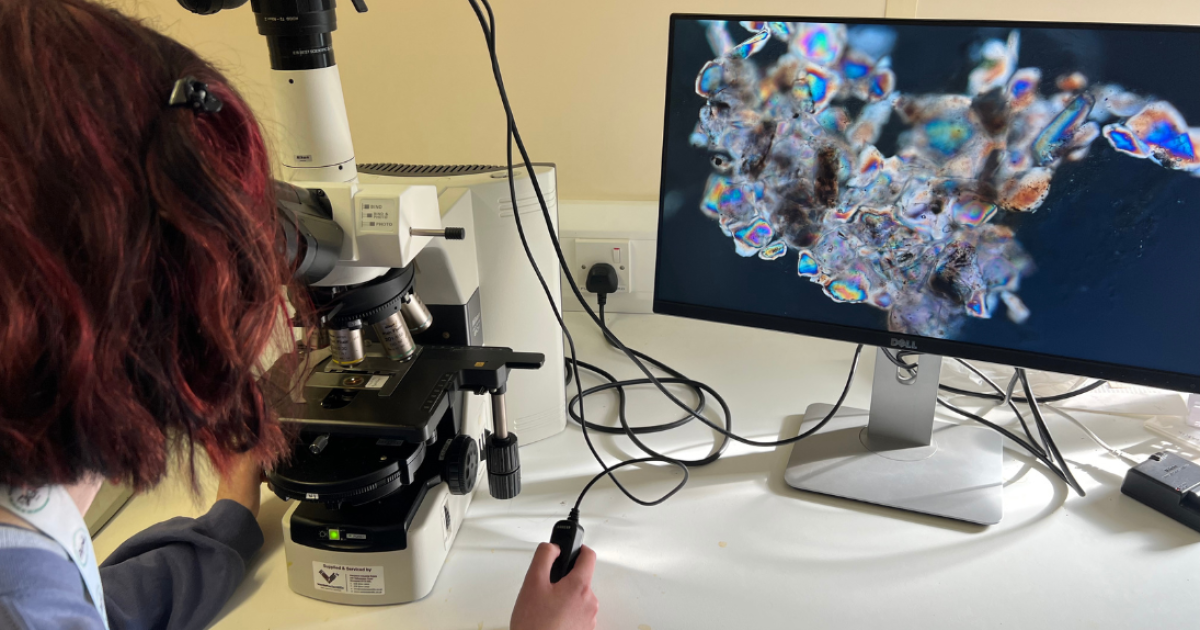 Digitising the Sponge Collection | National Museums NI