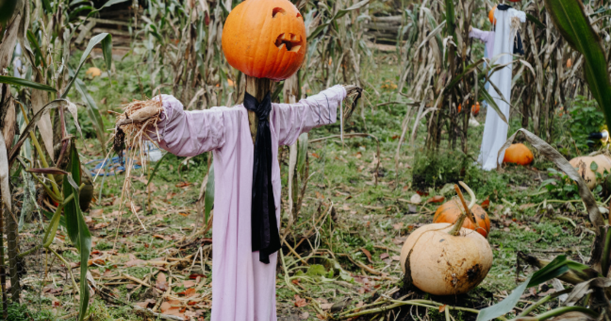 The folklore of Halloween | Ulster American Folk Park
