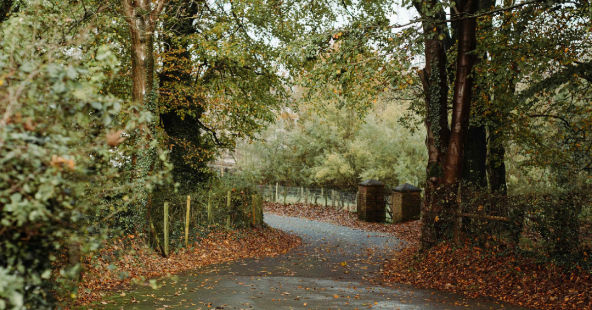 Tree Folklore Walk | Ulster Folk Museum