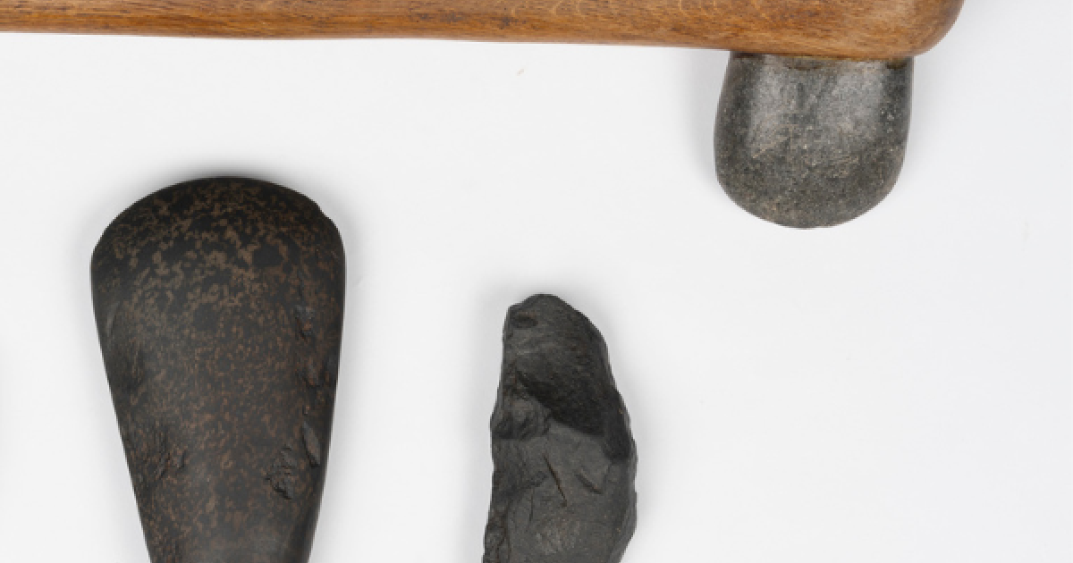 Dig into Ancient Ireland | Ulster Museum