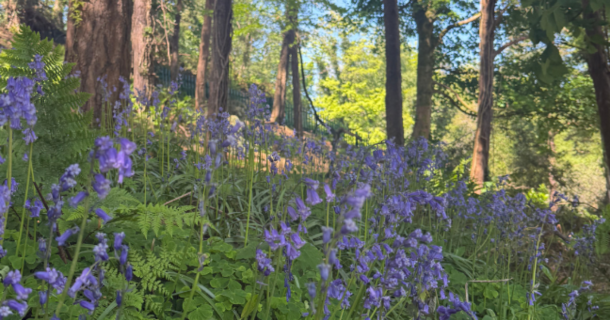 Sustainability National Museums Ni