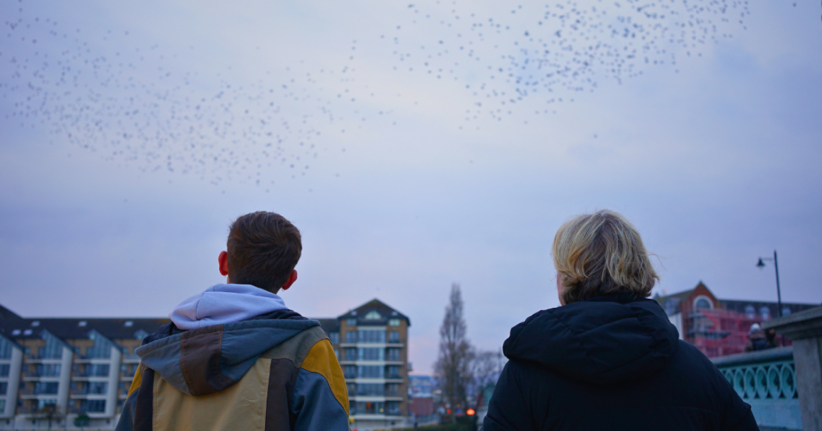 Murmurations - Large Hero - 1095 x 616.png