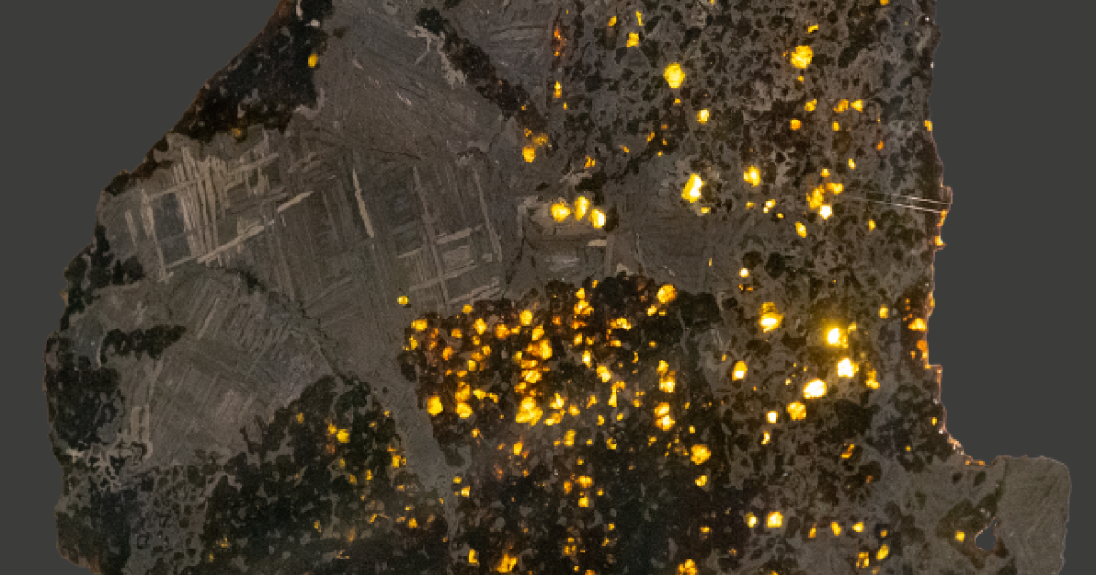 Copy of Regular Hero - 648 x 656(9).png