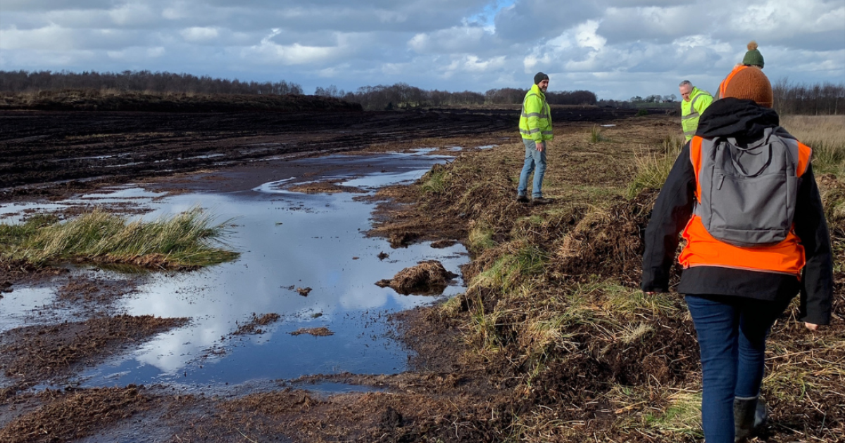 UM - Creative writing workshop - 1095x616.png