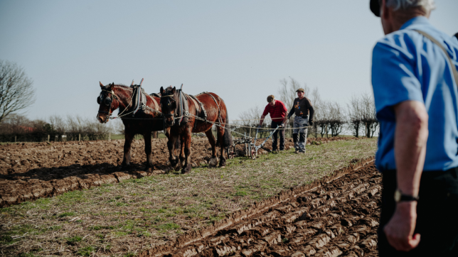 Visit the Ulster Folk Museum | Ulster Folk Museum