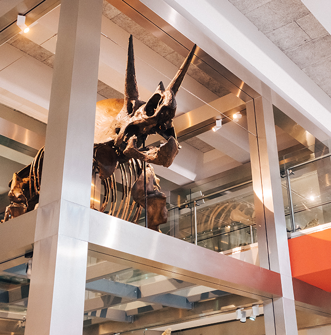 Learn at the Ulster Museum | Ulster Museum