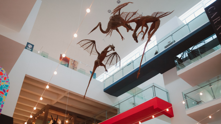 What's On | Ulster Museum